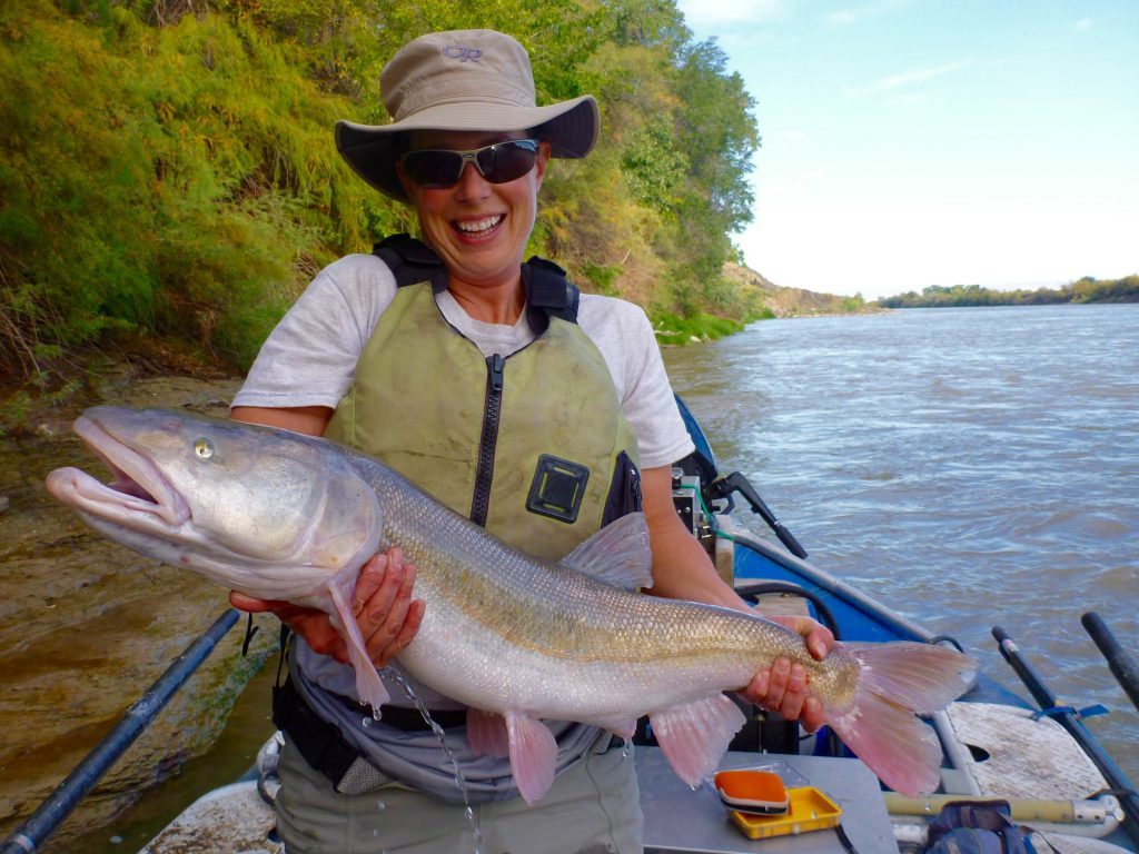 Reservoir releases for Colorado River endangered fish coming after peak ...